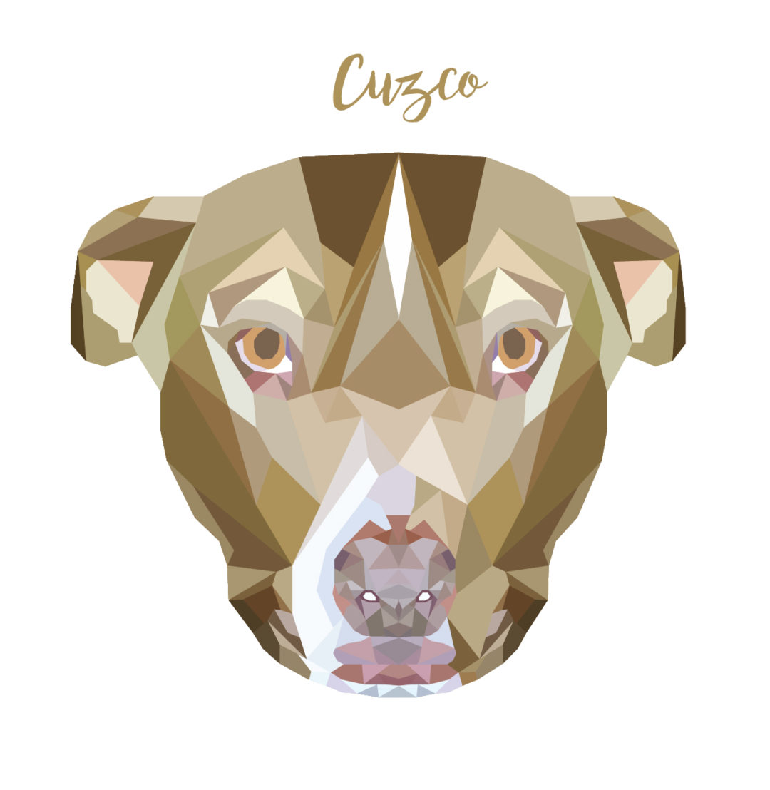 Geometric Dogs | Arianna Uray Design